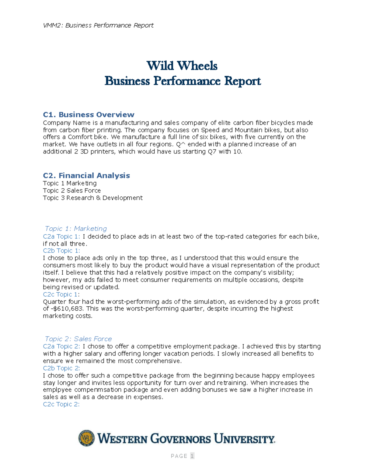 VMM2: Wild Wheels Business Performance Report & Analysis - Studocu