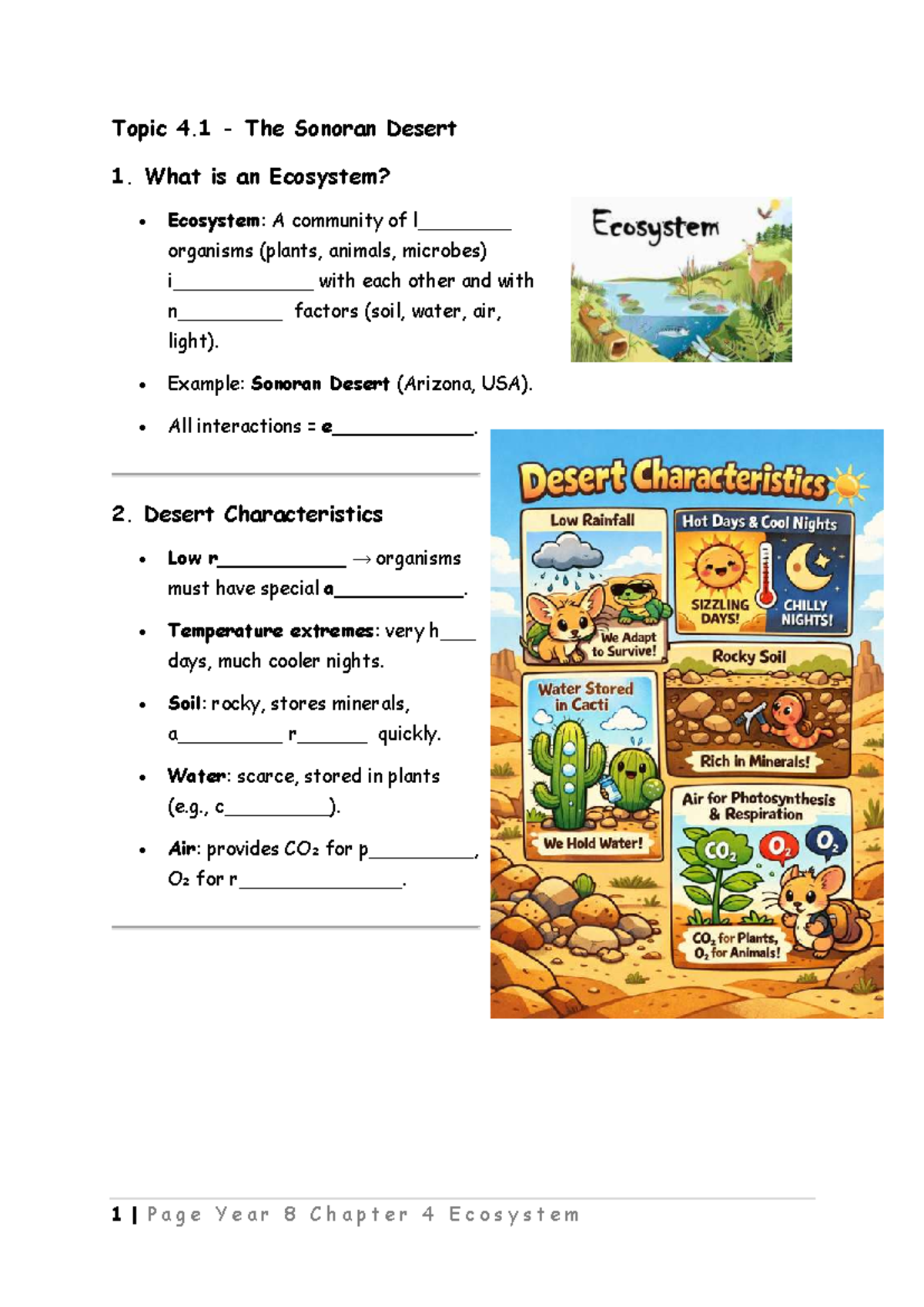 Year 8 Chapter 4 Ecosystem Study Notes: Sonoran Desert & Ecosystem ...
