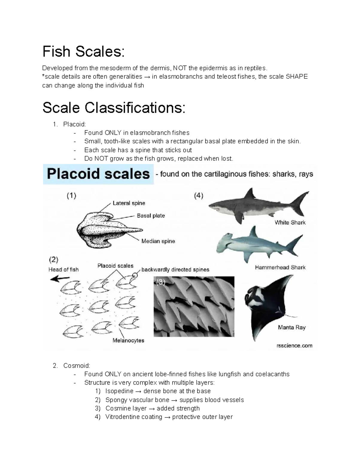 Mbio Lecture 3: Fish Scales and Scutes Overview - Studocu