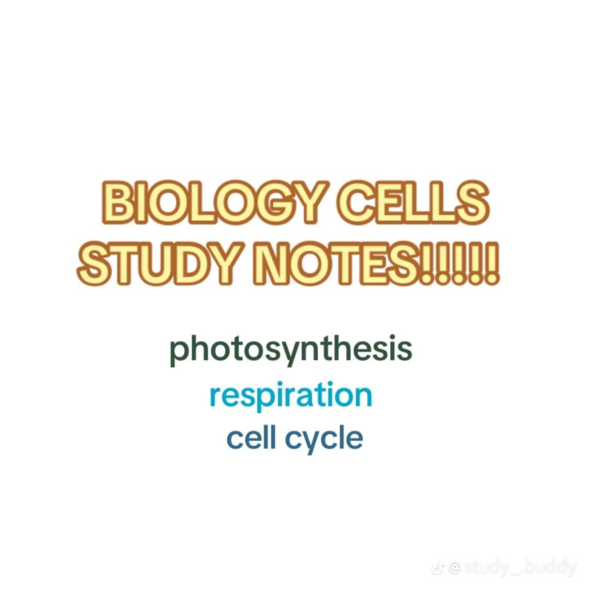 Life Sciences Grade 11: Photosynthesis, Respiration & Cell Cycle Notes ...