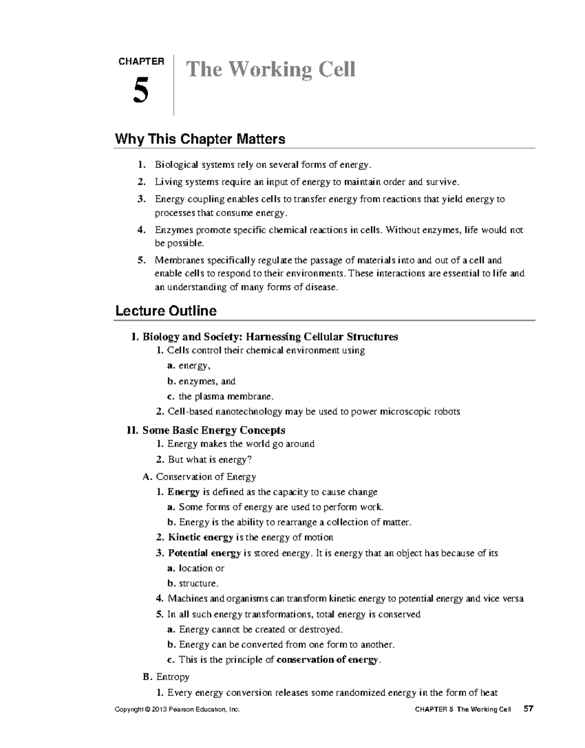Biology 101: Chapter 5 - The Working Cell and Energy Processes - The ...