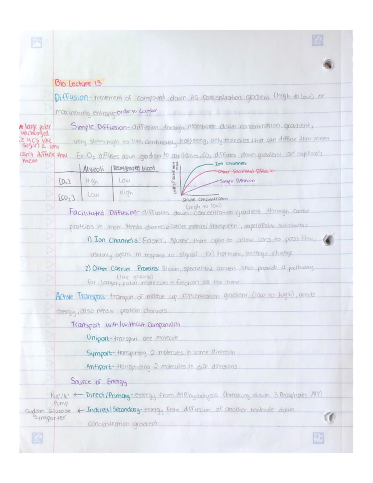 Bio 201 Lec 13 notes - lecture 13 - Bio lecture 13 Diffusion movement ...