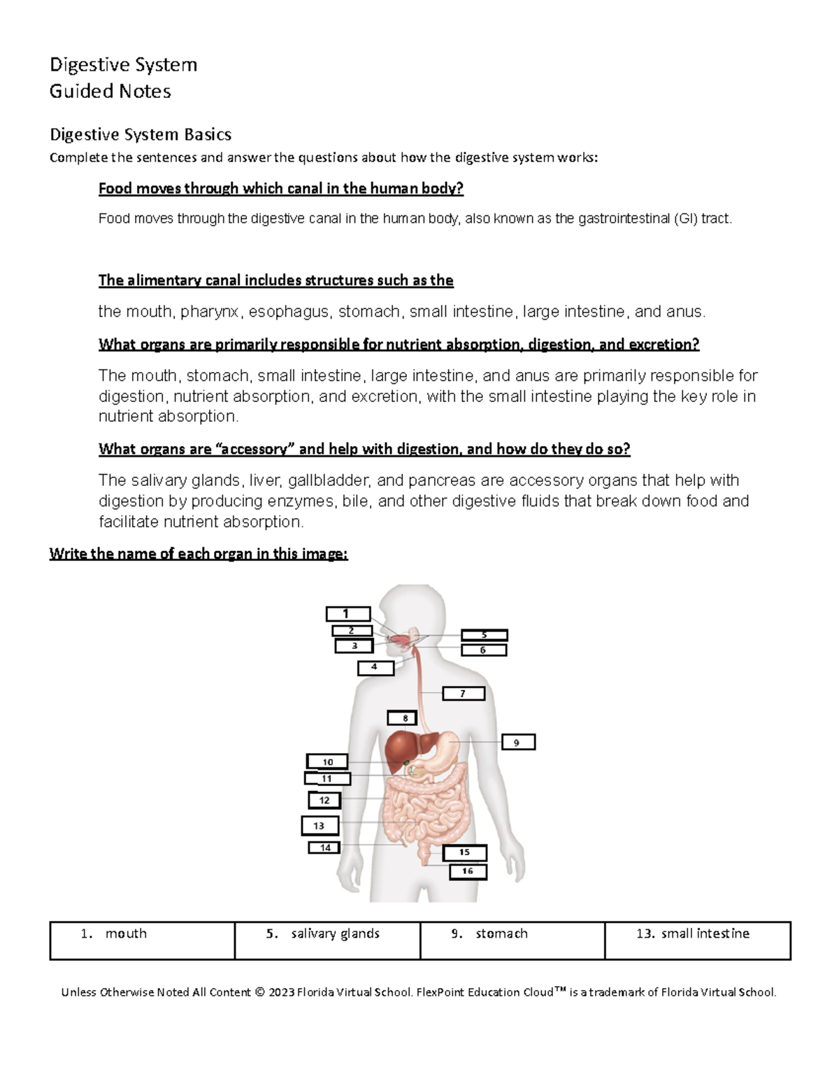 Guided Notes on the Digestive System - BIO101 Lecture Notes - Studocu