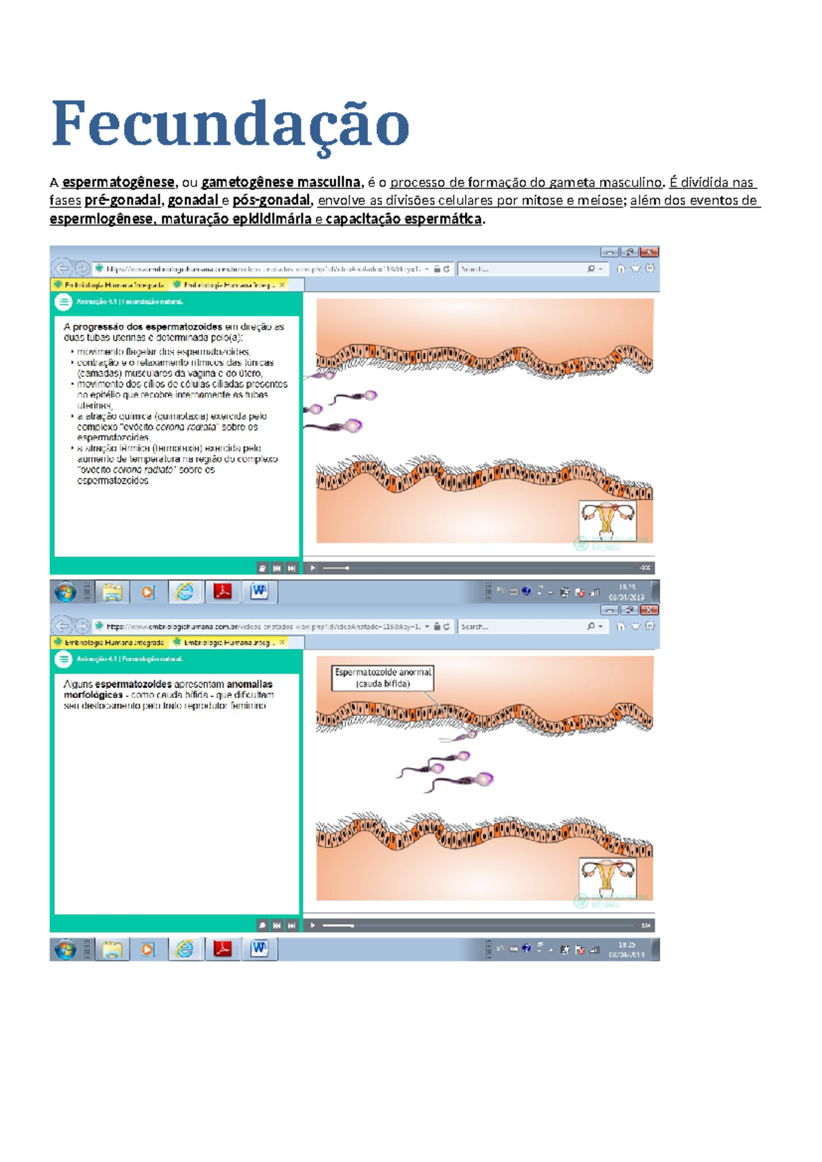 Resumo sobre fecundação humana - Embriologia Humana - Fecundação A ...