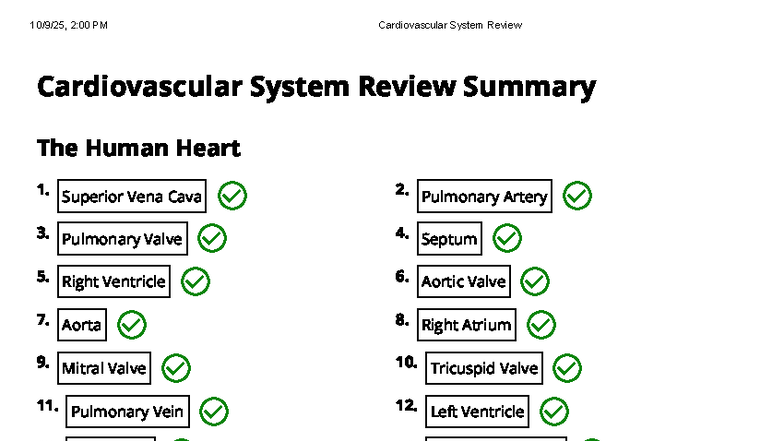Cardiovascular System Review Summary for 2:00 PM Class - Studocu