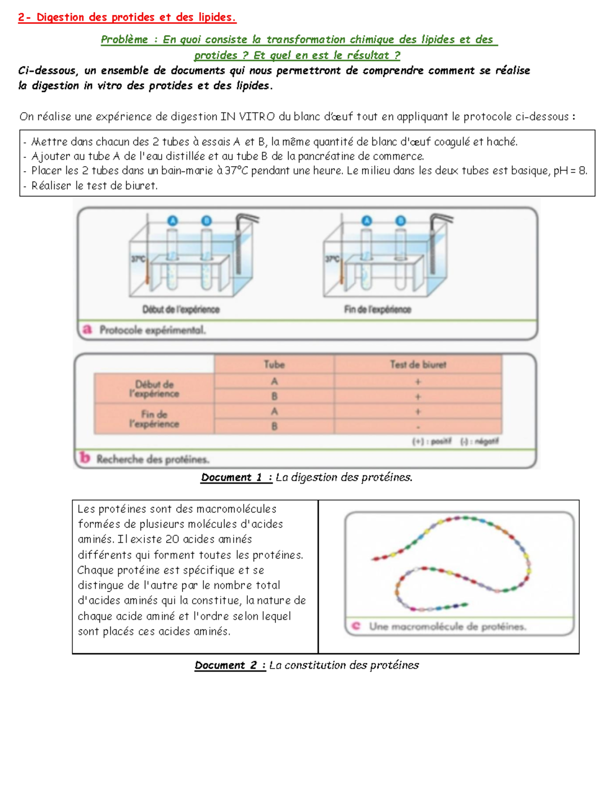Activité de Digestion In Vitro des Protides et Lipides 2025 - Studocu