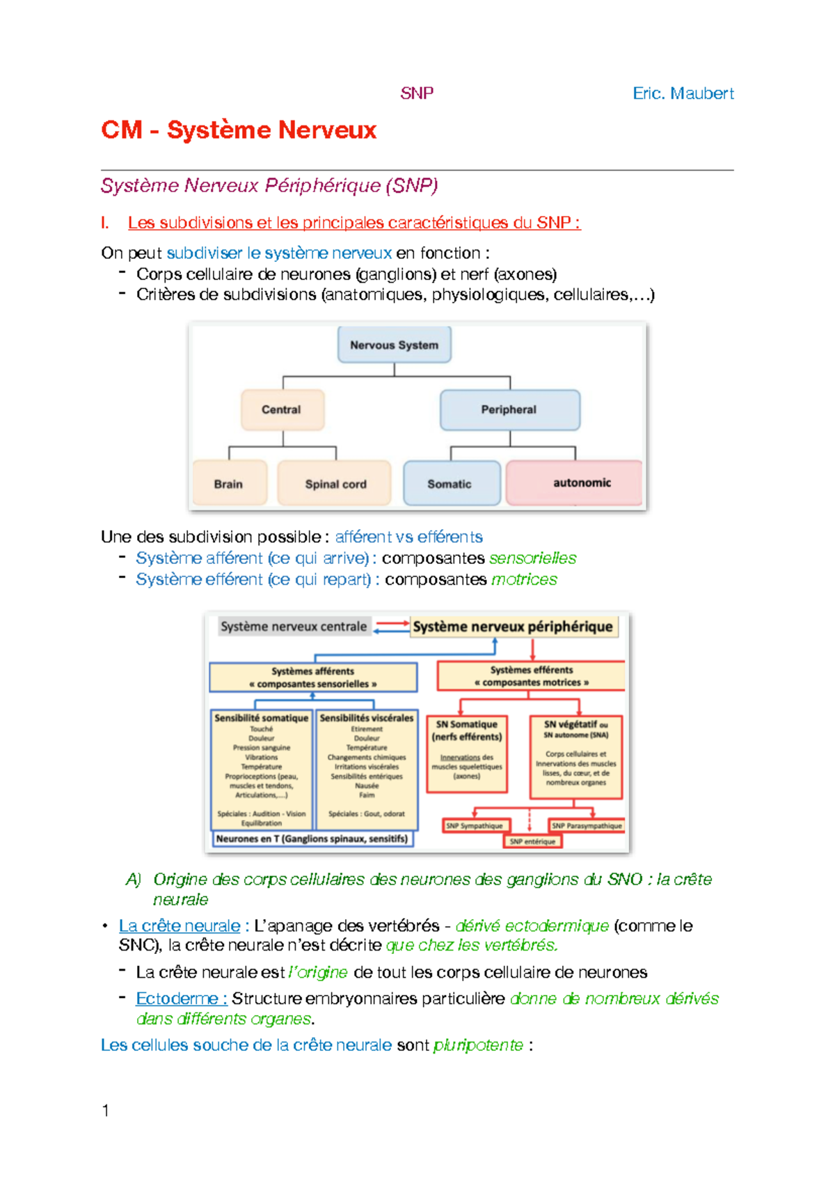 Notes sur le Système Nerveux Périphérique - CM - Biologie 101 - Studocu