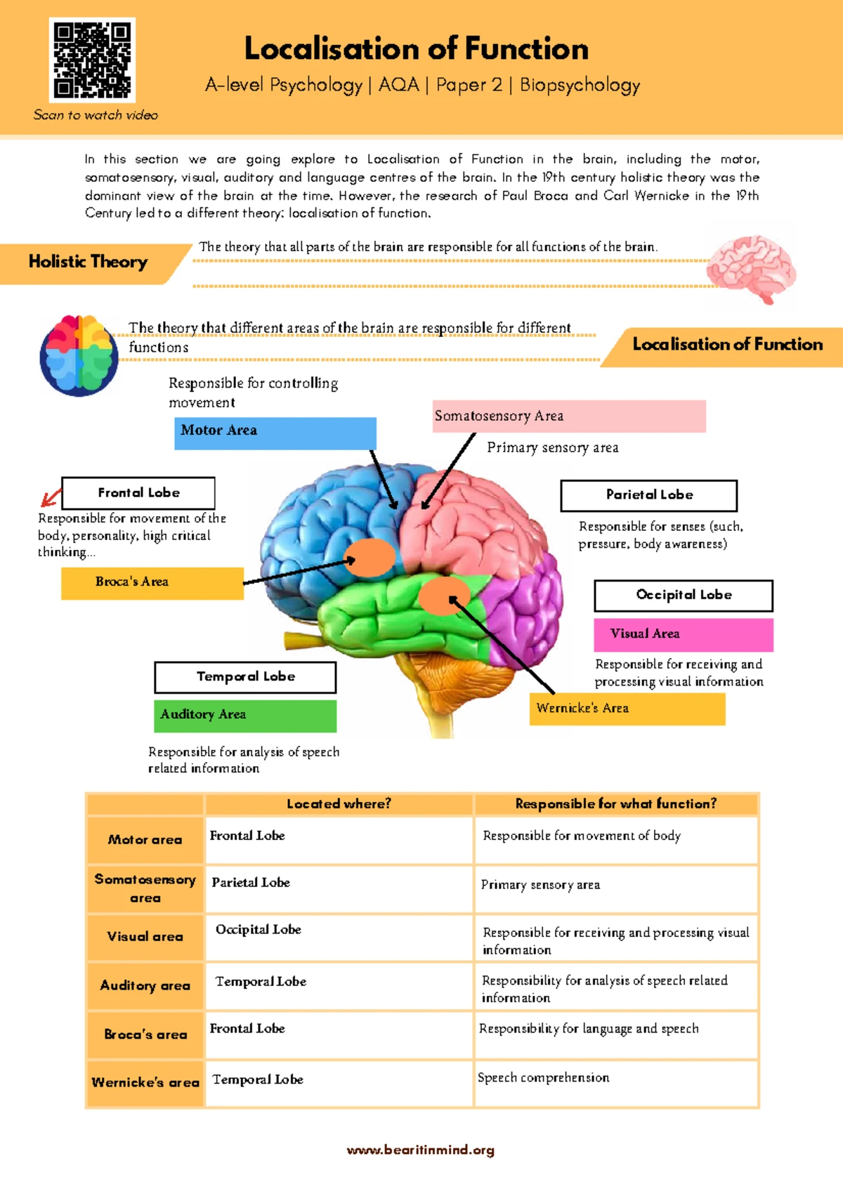 4. A-level Psychology: Hemispheric Lateralisation & Split-Brain ...