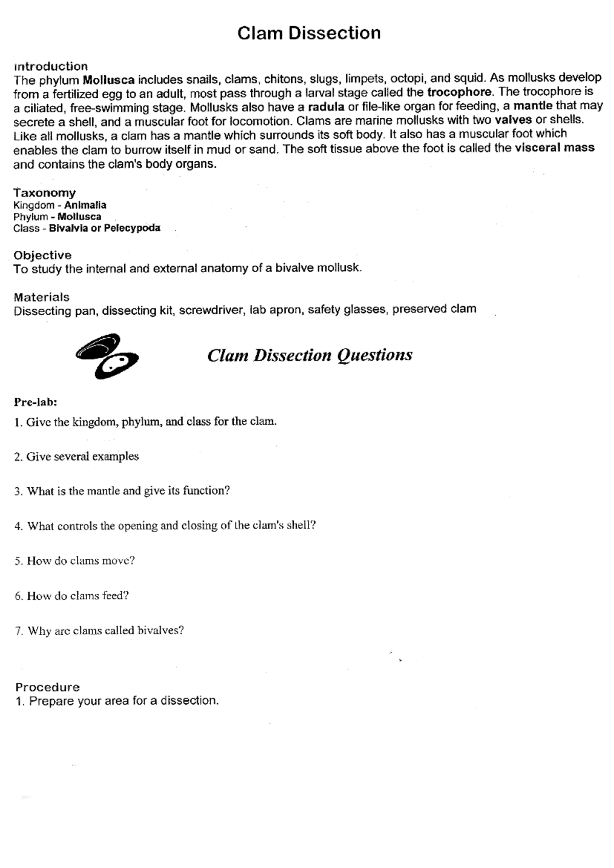 Clam Dissection Quiz