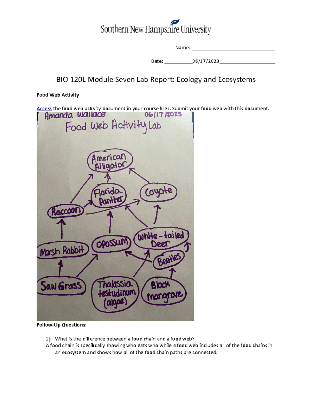 BIO 120L M7 Food Web Activity Lab Report and Reflections - Studocu