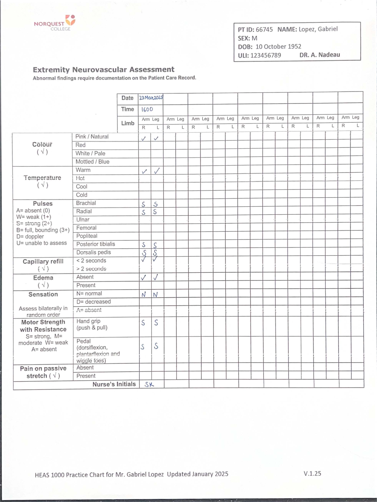 HEAS1000 - Extremity Neurovascular Assessment Notes - SKaur - Studocu