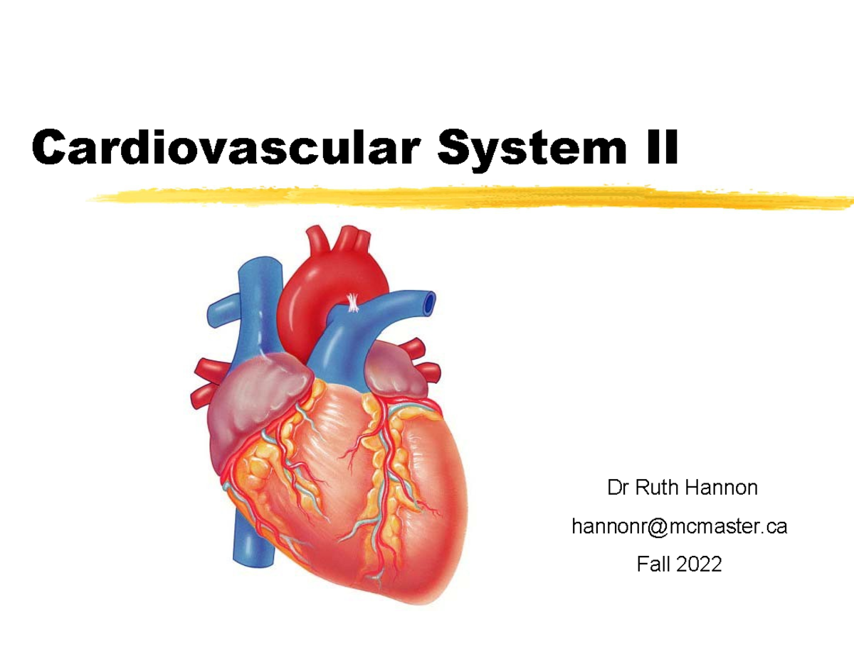 Cardiovascular System II Overview - Fall 2022 (Handout) - Studocu