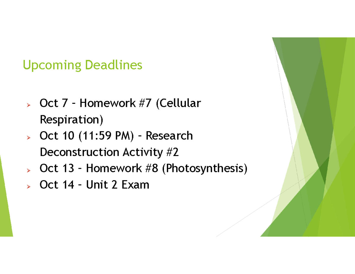 Photosynthesis: Light Reactions & Calvin Cycle Overview (Biol 1A) - Studocu