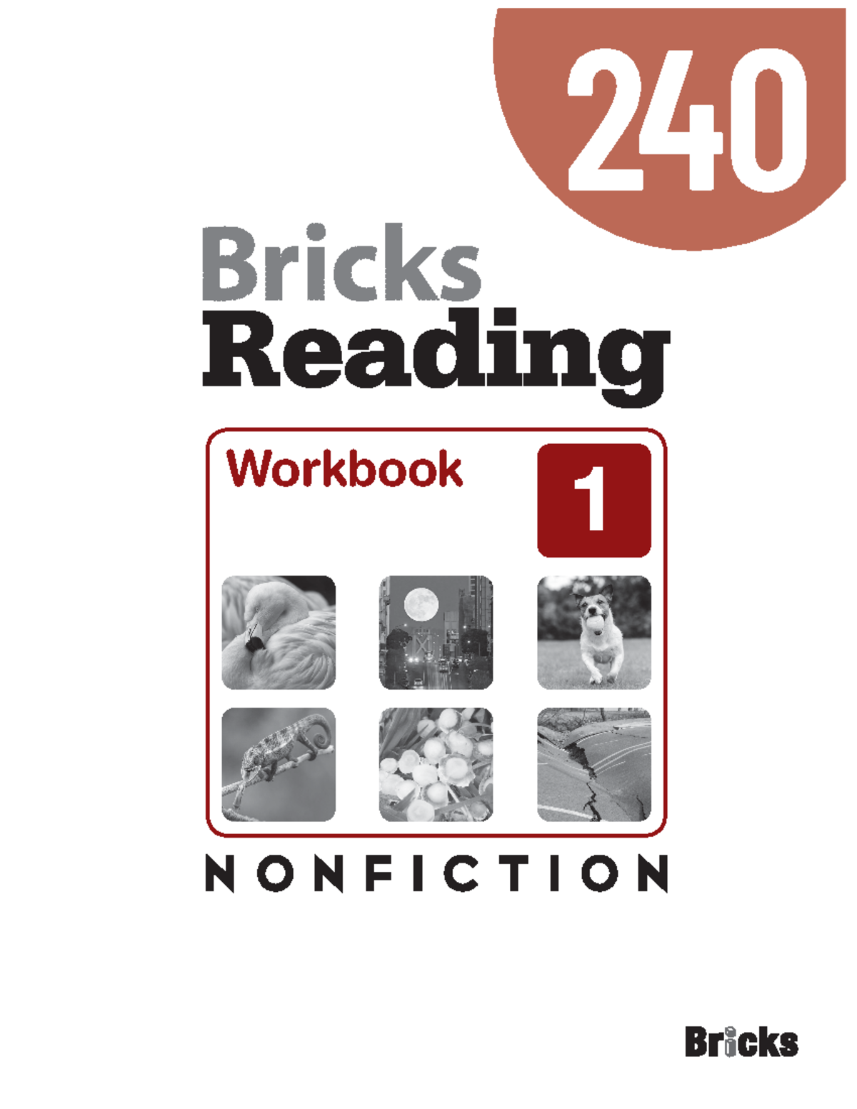 Bricks Reading 240 Nonfiction L1 Workbook Answer Key - Studocu