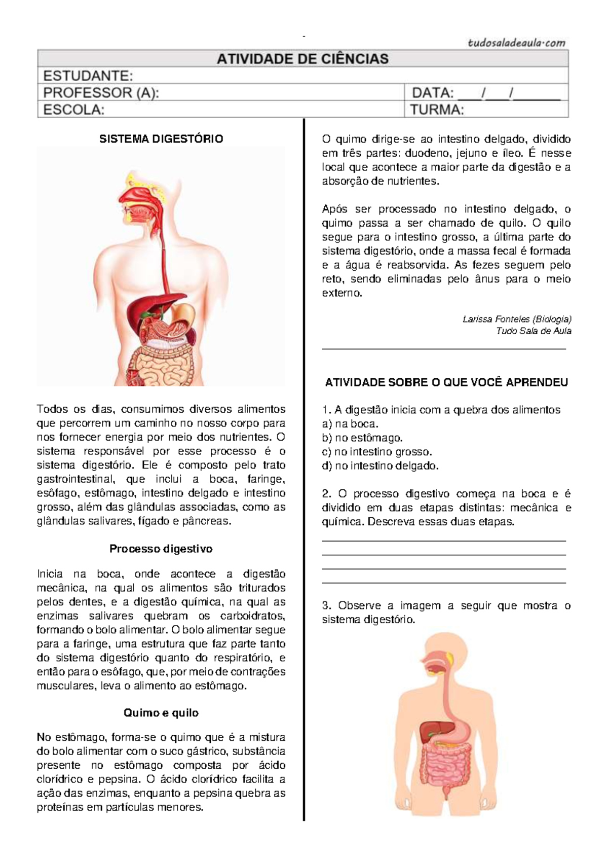 Sistema Digestório: Entendendo o Quimo e o Quilo - 5º ANO - Studocu
