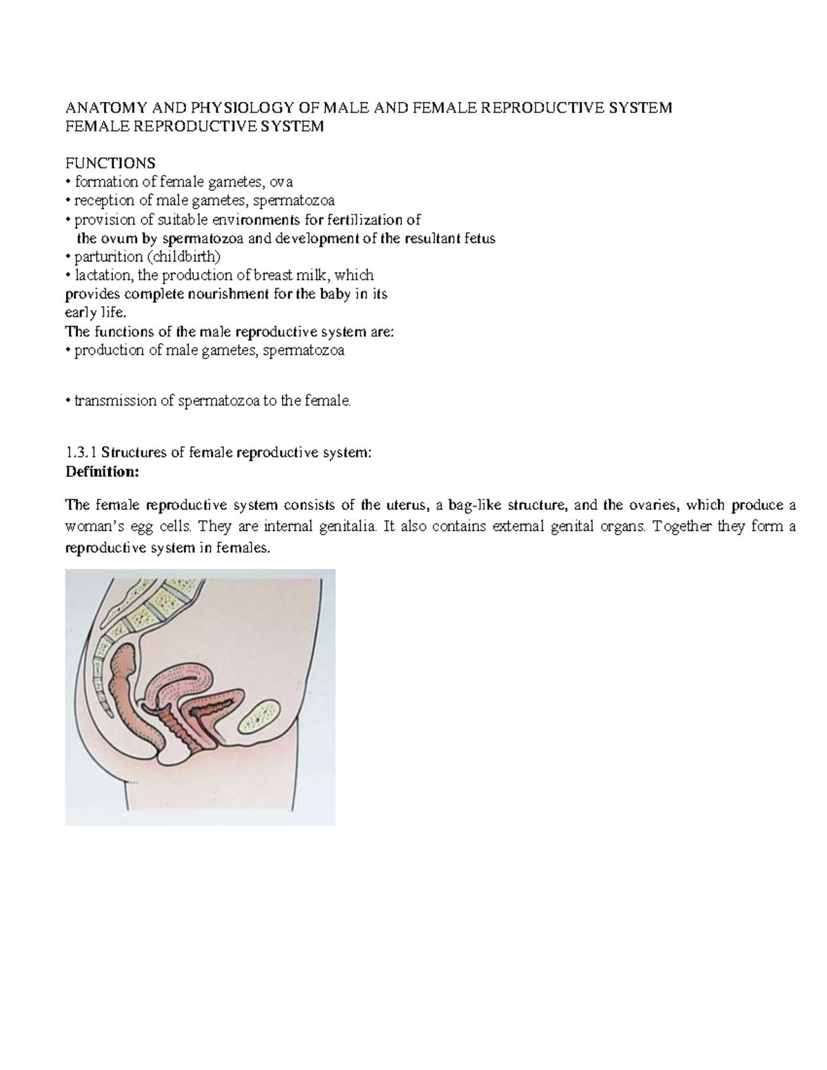 ANATOMY & PHYSIOLOGY OF MALE & FEMALE REPRODUCTIVE SYSTEM - Studocu