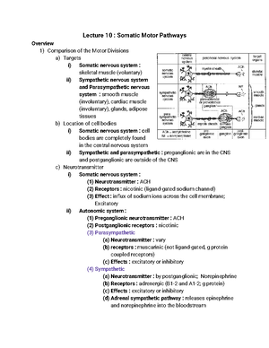 BIOL 2401 Exam 4 Nervous System Lab Practice CNS HGolden - BIOL 2401 ...