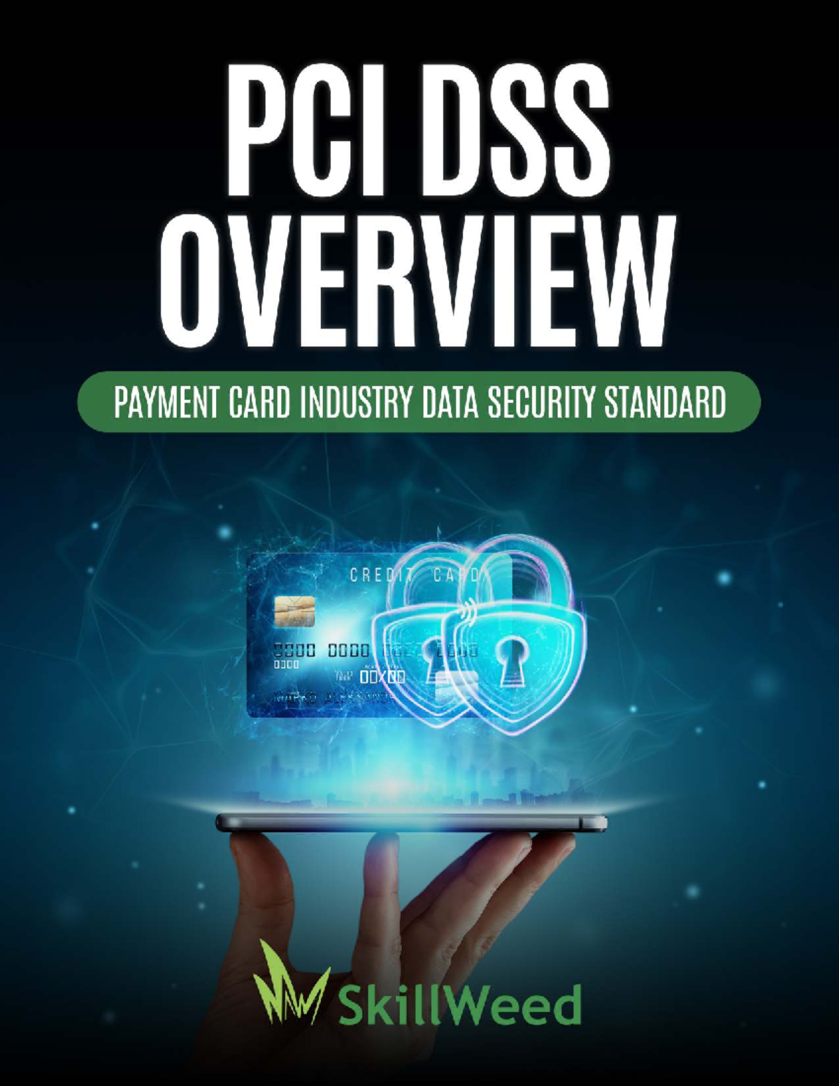PCI DSS Overview: Key Requirements & Compliance for Health Sector - Studocu