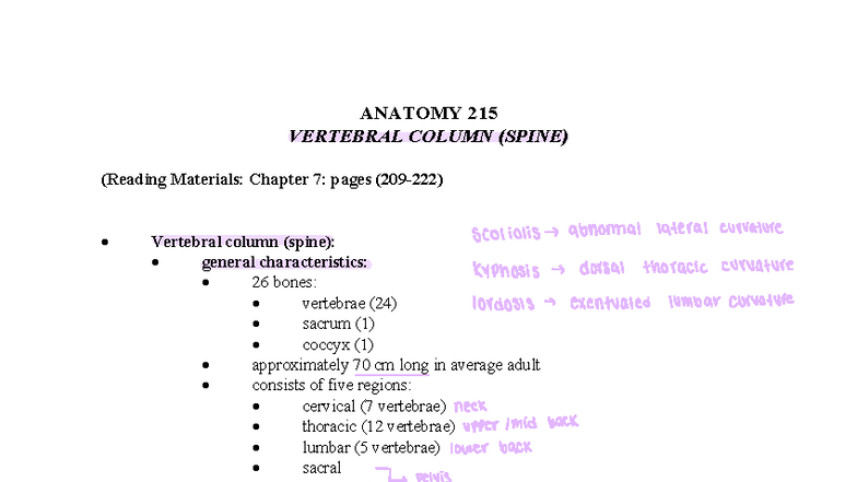 ANATOMY 215 VERTEBRAL COLUMN & THORACIC WALLS STUDY NOTES - Studocu