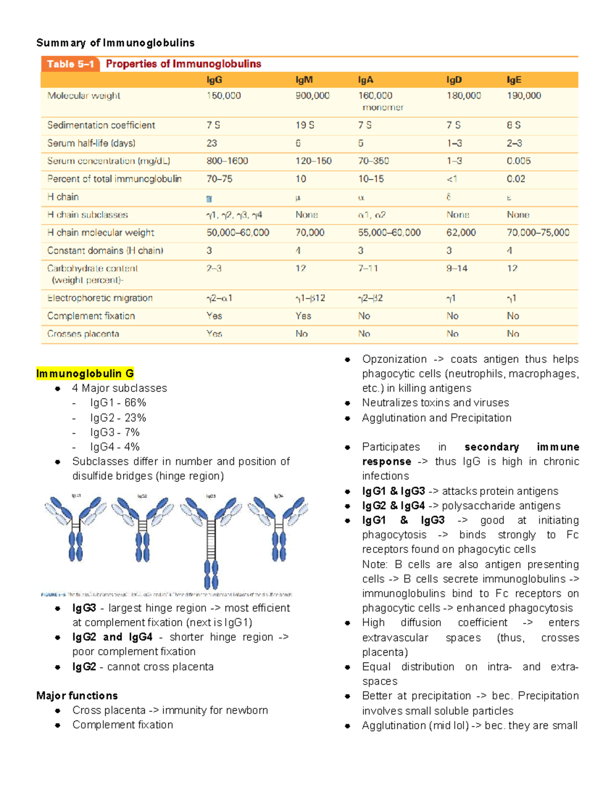 Immunoglobulins Summary: Key Functions and Subclasses Overview - Studocu