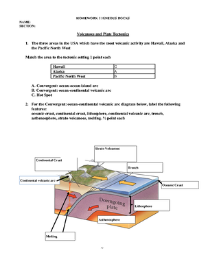 Lab 4 Sedimentary Rocks - LAB 4 SEDIMENTARY ROCKS NAME: SECTION ...