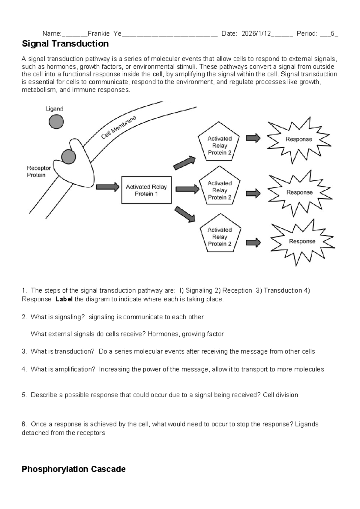 Signal Transduction Pathways: Key Concepts and Processes - Studocu