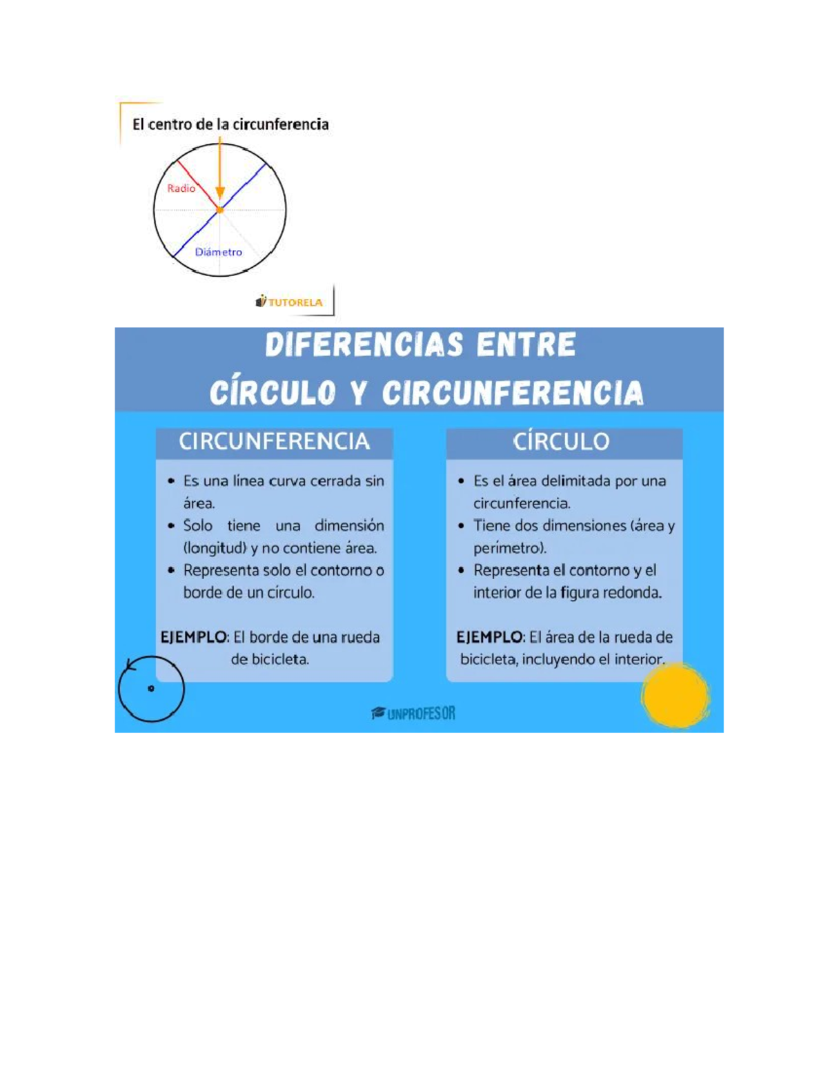 Circunferencia y Círculo: Diferencias y Medidas - TUTORELA - Studocu