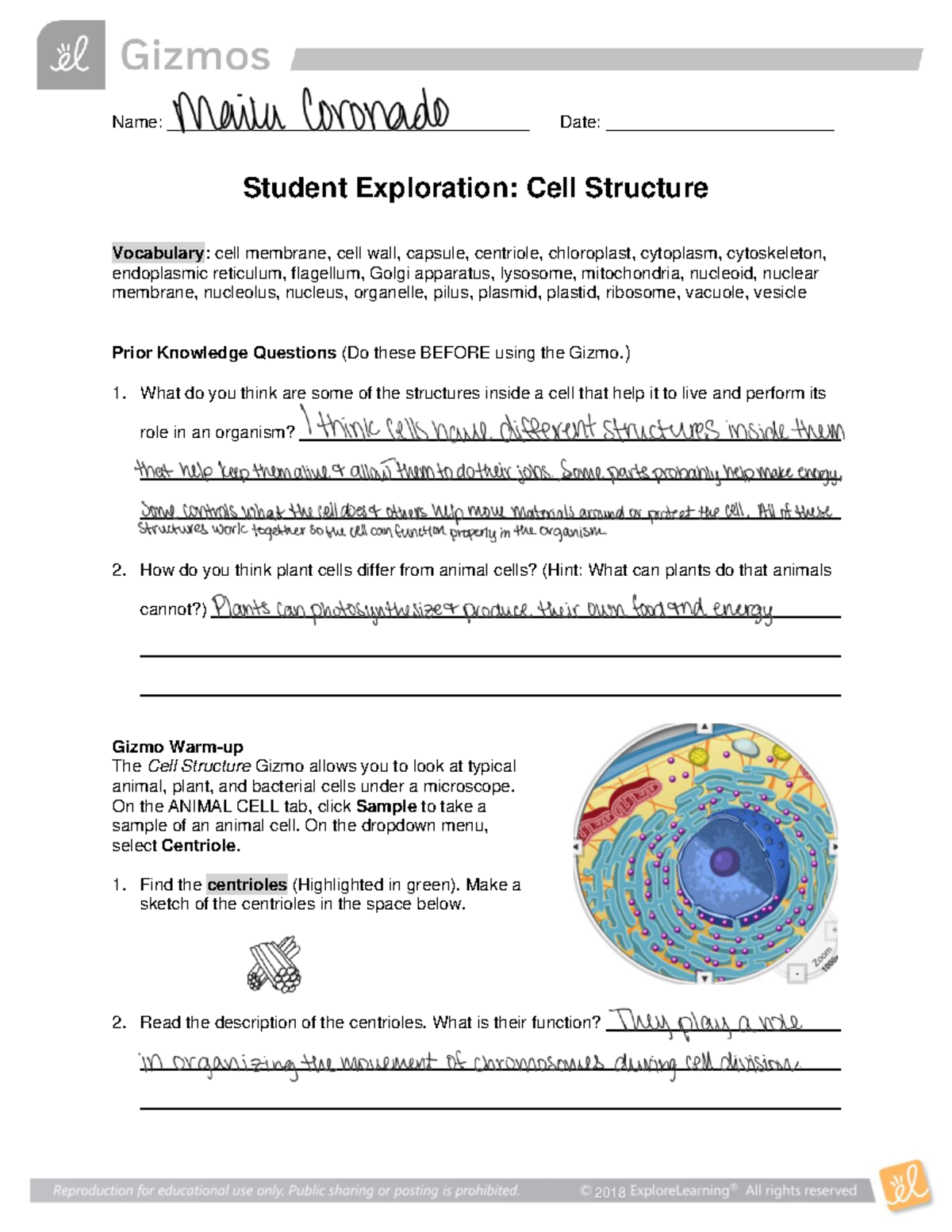 Cell Structure Vocabulary & Activities SE - Studocu