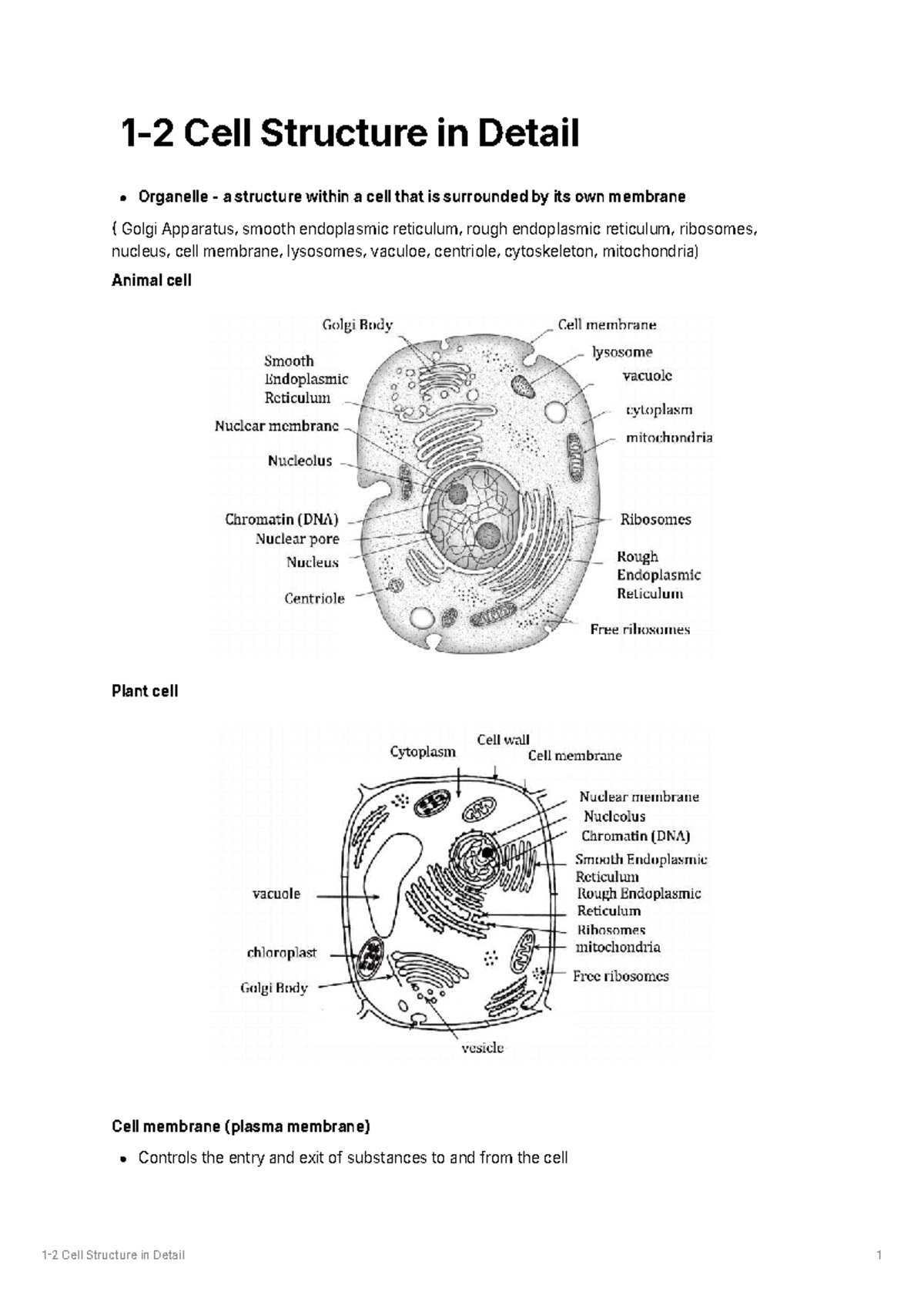 BIO 1-2: Detailed Overview of Cell Structure and Organelles - Studocu