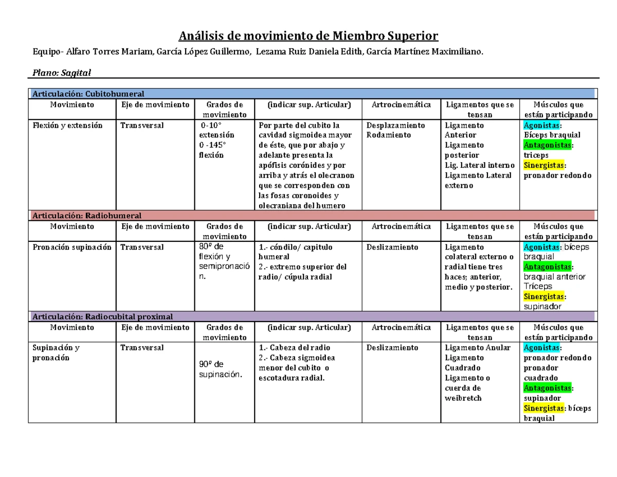 Zonas de la mano - MUSCULOS TENARES ZONAS DE LA MANOZONAS DE LA MANO ...