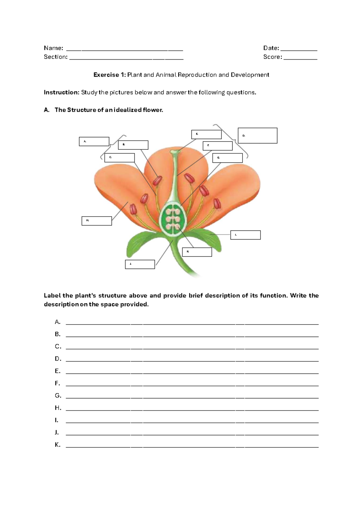 BIO101: Plant and Animal Reproduction & Development Study Guide - Studocu