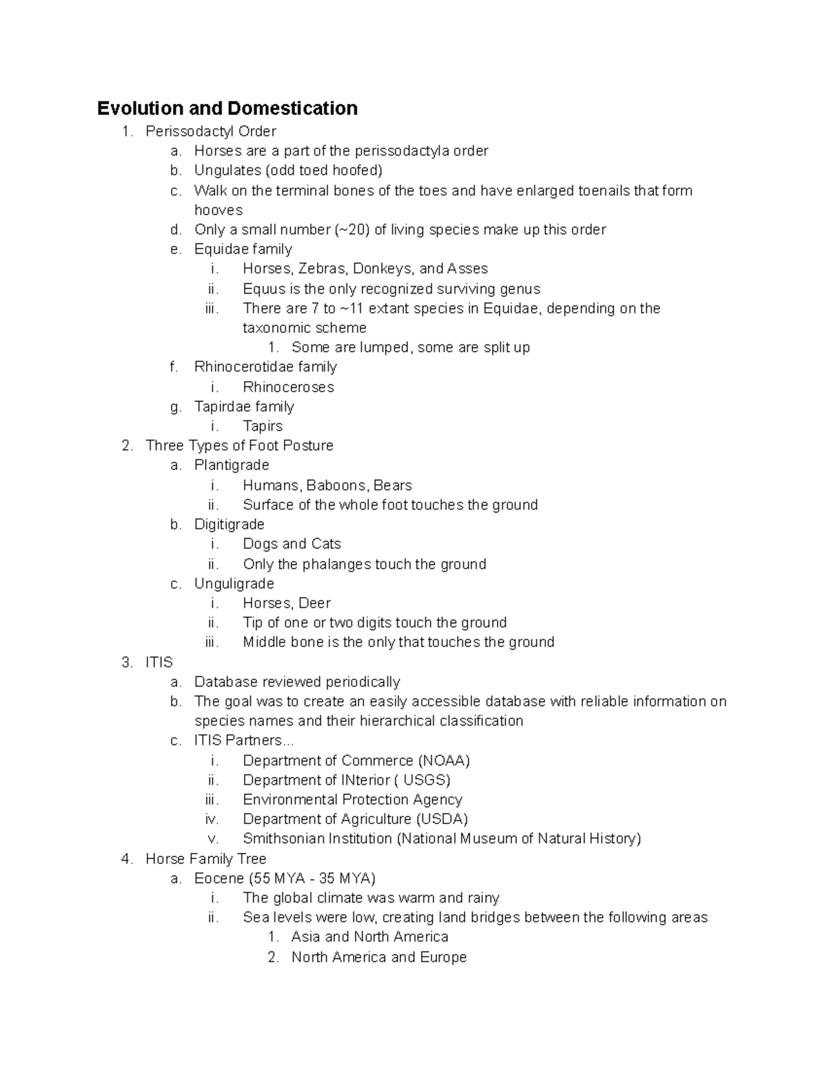 Equine Nutrition Basics: Comprehensive Guide on Feeding Healthy Horses ...