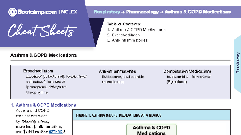 Asthma & COPD Medications Cheat Sheet (Respiratory 101) - Studocu
