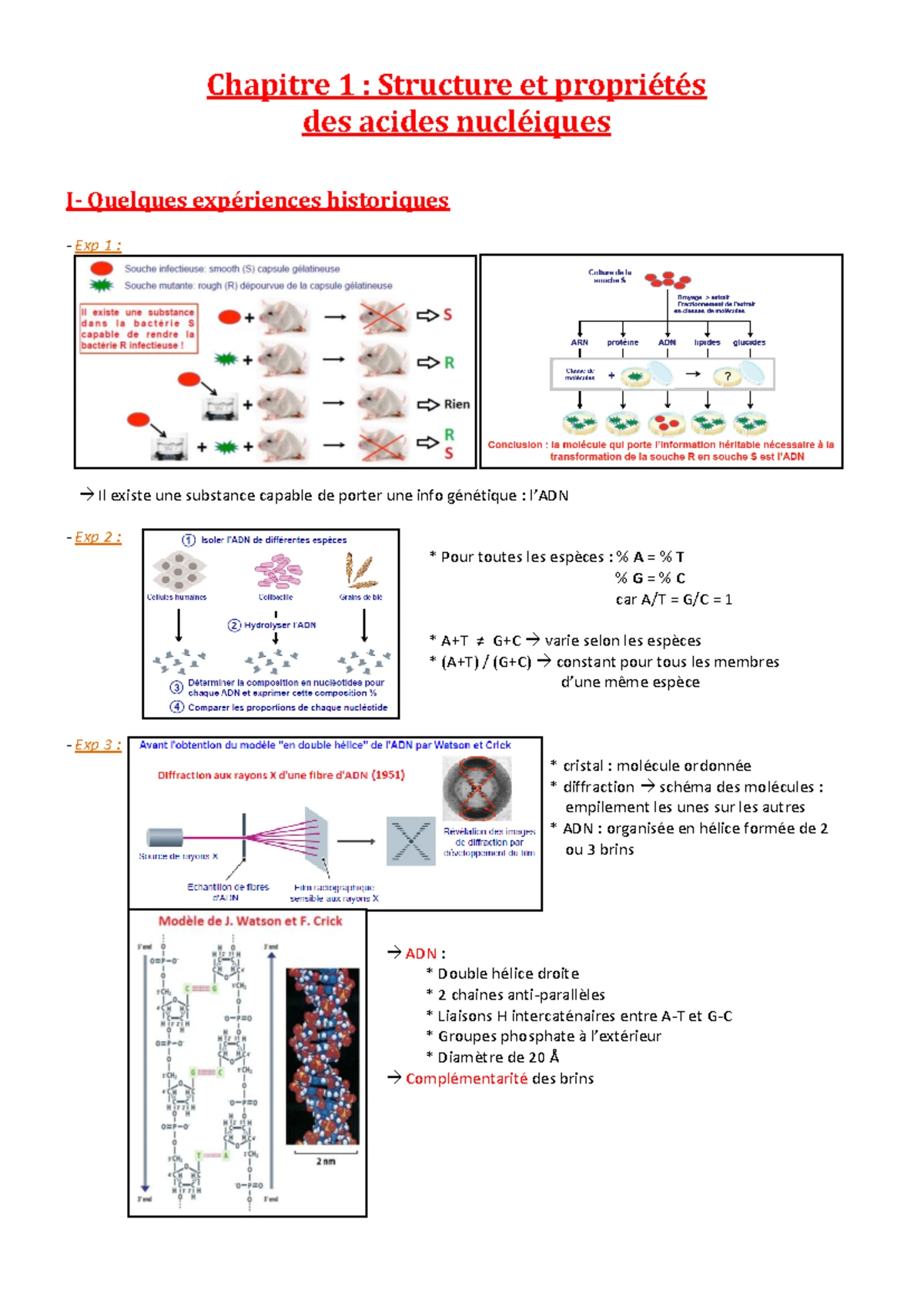 Biologie 1 - Résumé sur l'ADENOSINE TRIPHOSPHATE (ATP) - Studocu