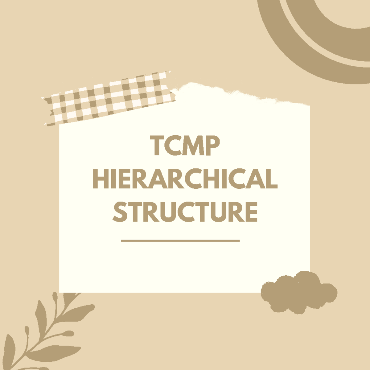 Hierarchical Structure of TCMP: Insights into Criminal Investigation ...