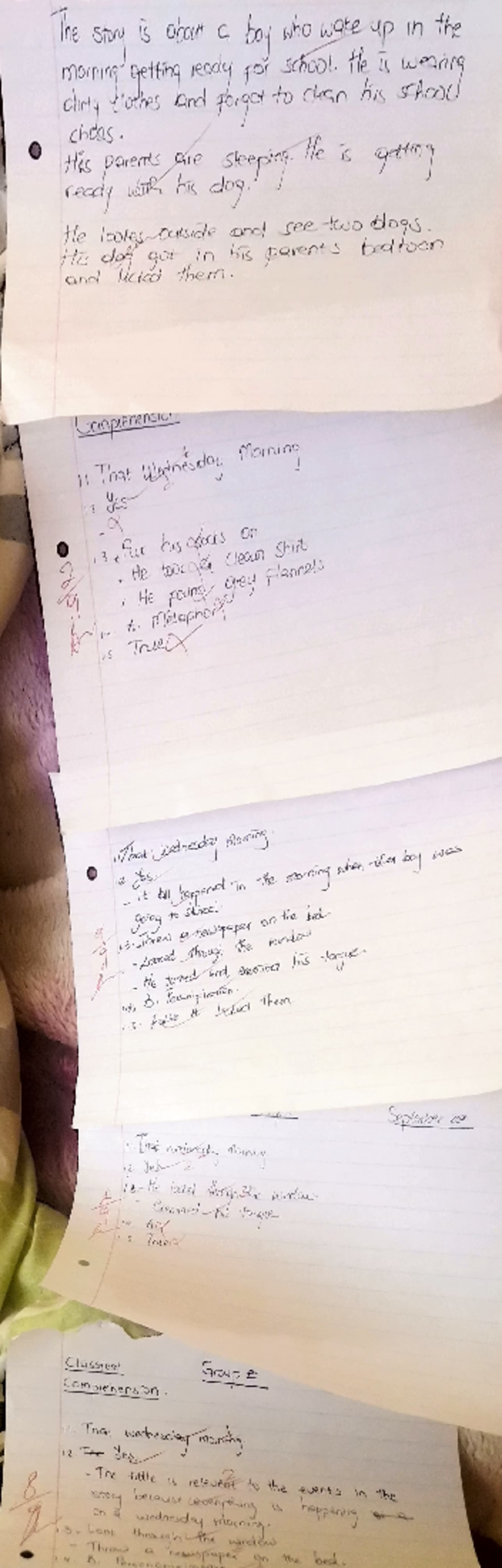 Title: Class Test Notes: Understanding Format & Key Elements - Studocu