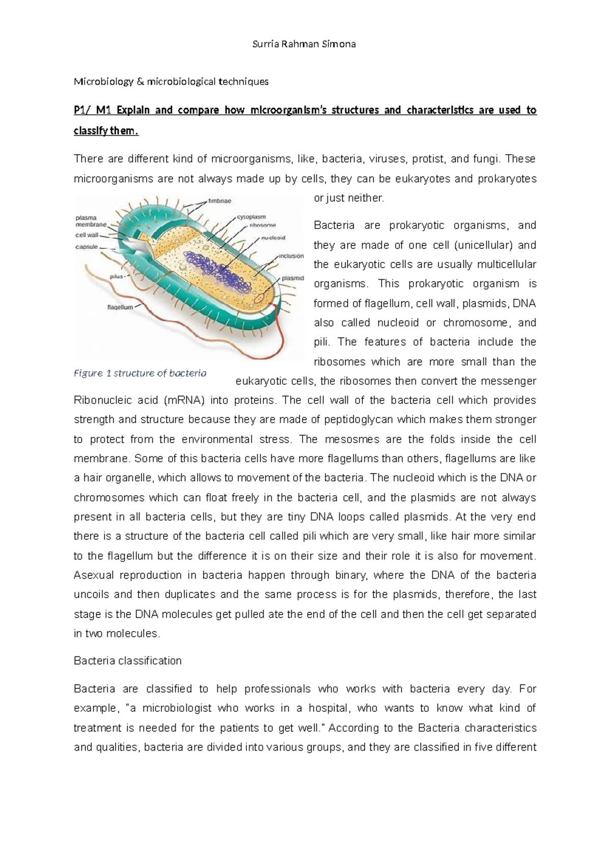 Unit 17 Assignment: Microorganism Classification in Applied Science ...