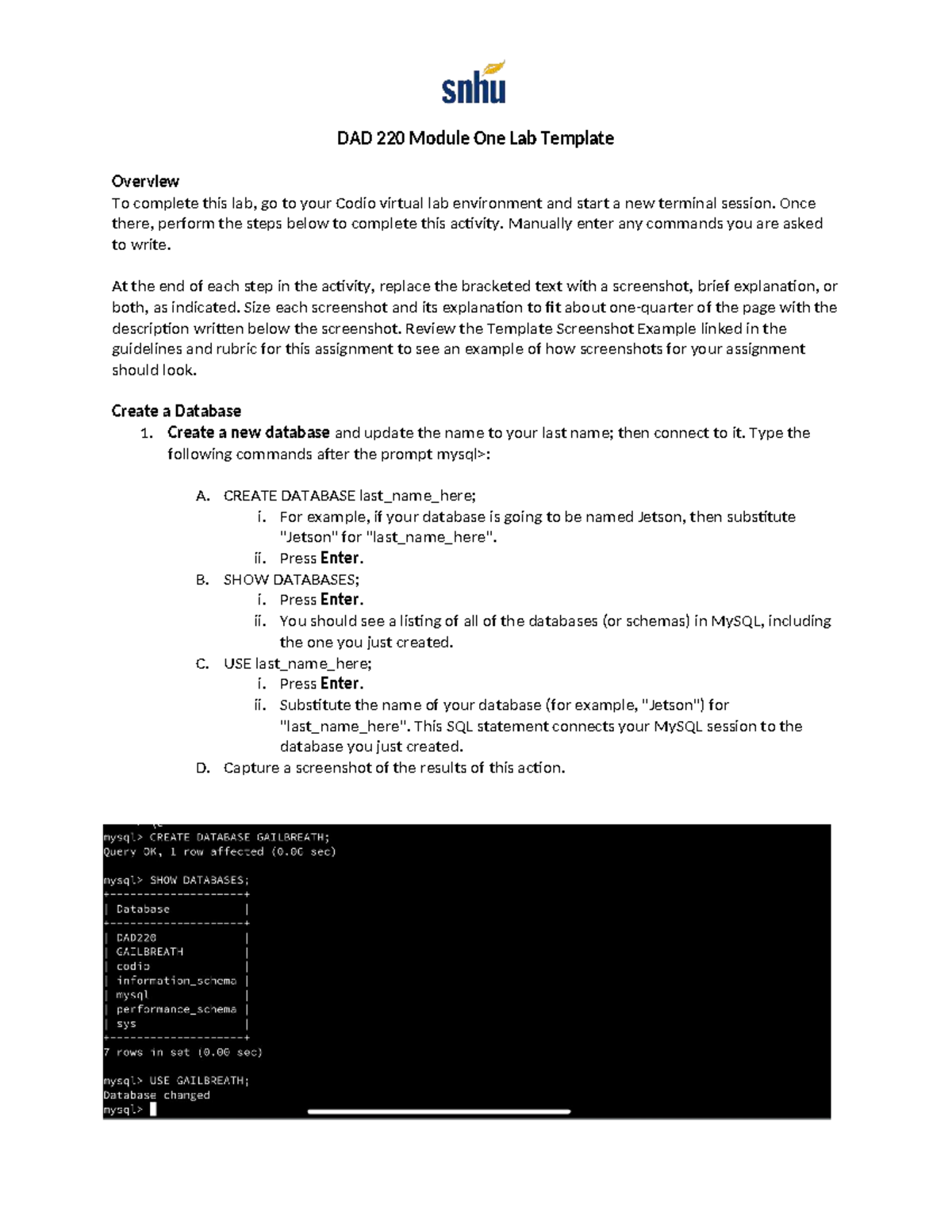 DAD 220 Module One Lab Template - DAD 220 Module One Lab Template ...