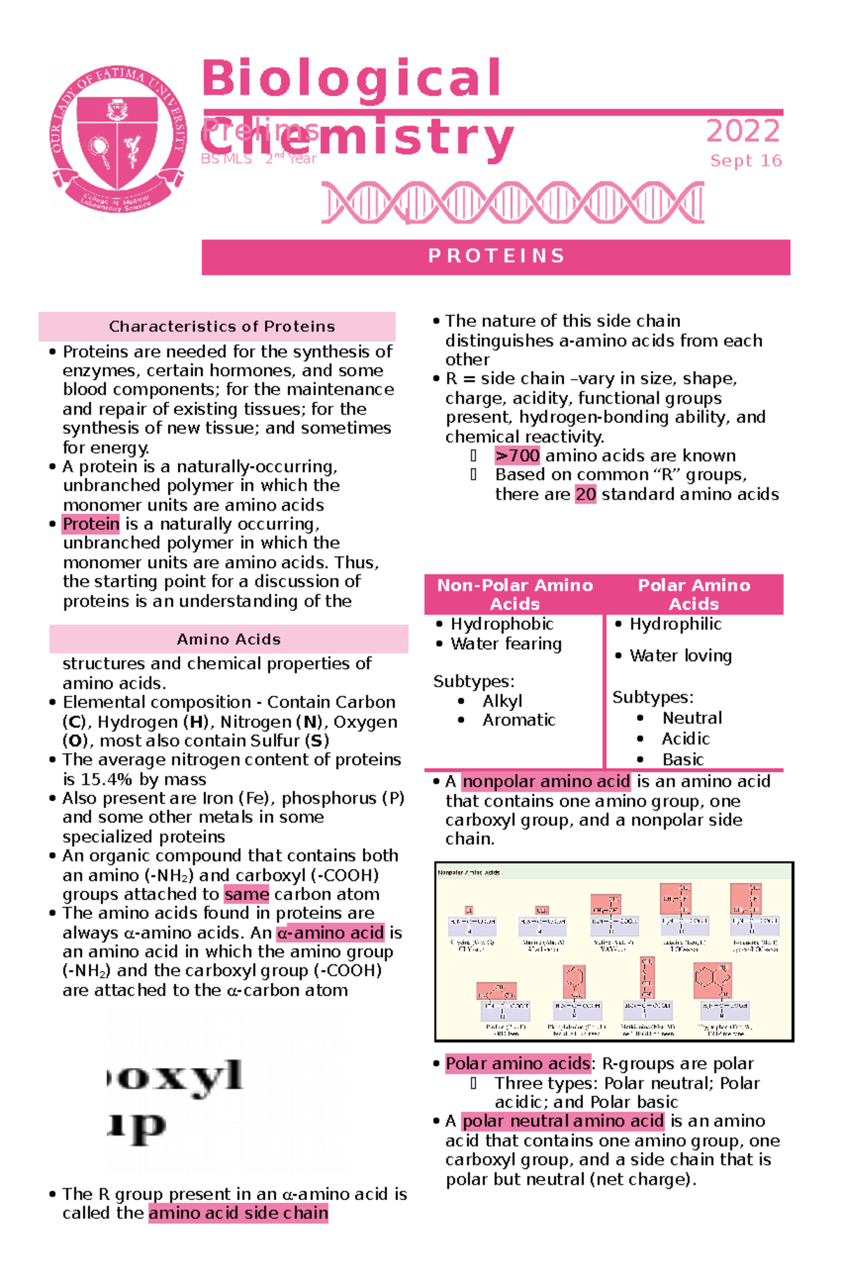 Bio Chem-Proteins - my notes only - Biological Chemistry Proteins are ...
