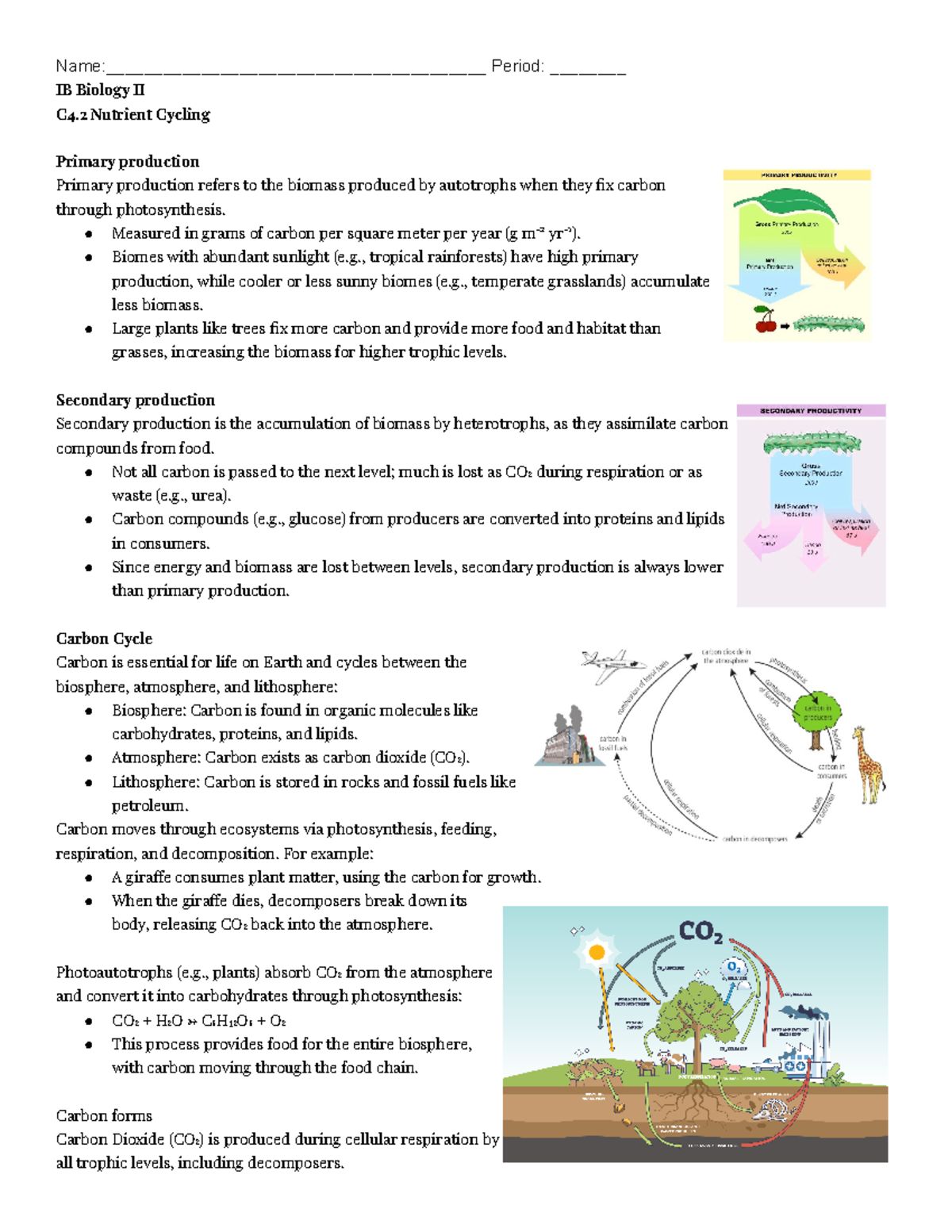 IB Biology II C4.2 Lecture Notes: Nutrient Cycling & Carbon Processes ...