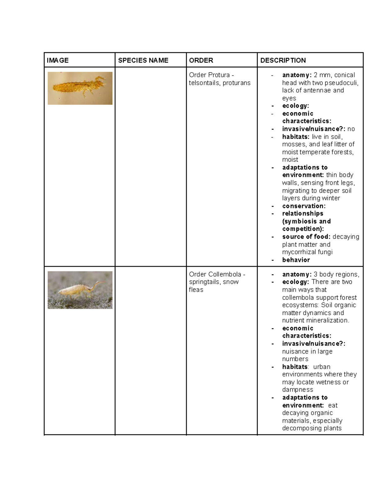 Entomology Study Notes: Orders and Characteristics of Insects - Studocu