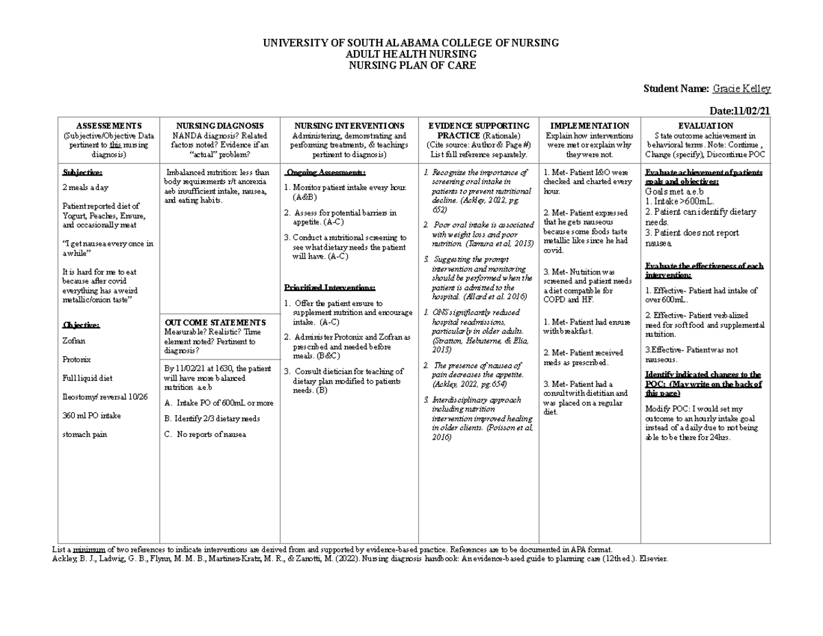 Imbalanced Nutrition Care Plan Structure And Design Considerations