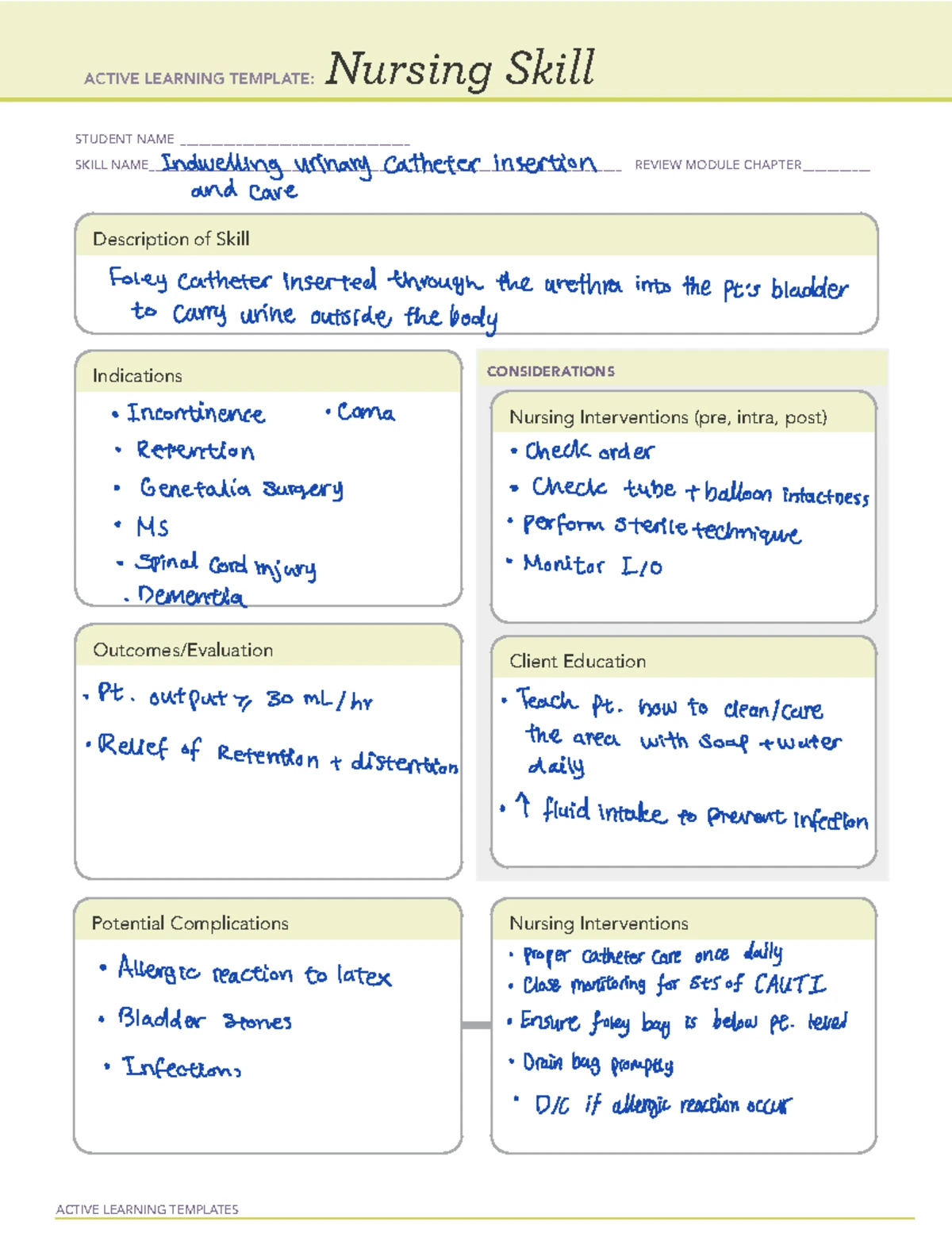 Urine Culture - ATI Template - ACTIVE LEARNING TEMPLATES THERAPEUTIC ...