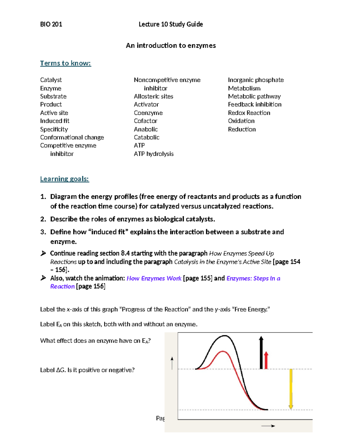 BIO 201 Lecture 10 Study Guide: Enzymes & Metabolic Pathways Overview - Studocu