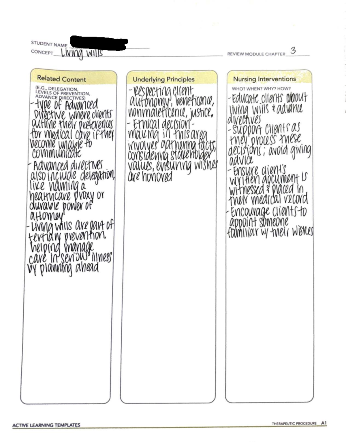 NUR 101 Living Wills Review: Ethical Principles & Nursing Interventions ...