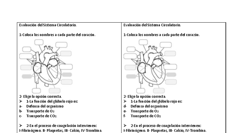 Evaluación del Sistema Circulatorio - Preguntas y Respuestas - Studocu