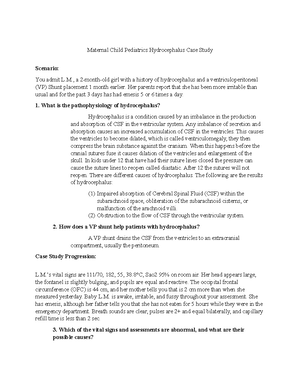 Sample PIE notes - nursing - SAMPLE PIE PATIENT CARE NOTE caregiver ...