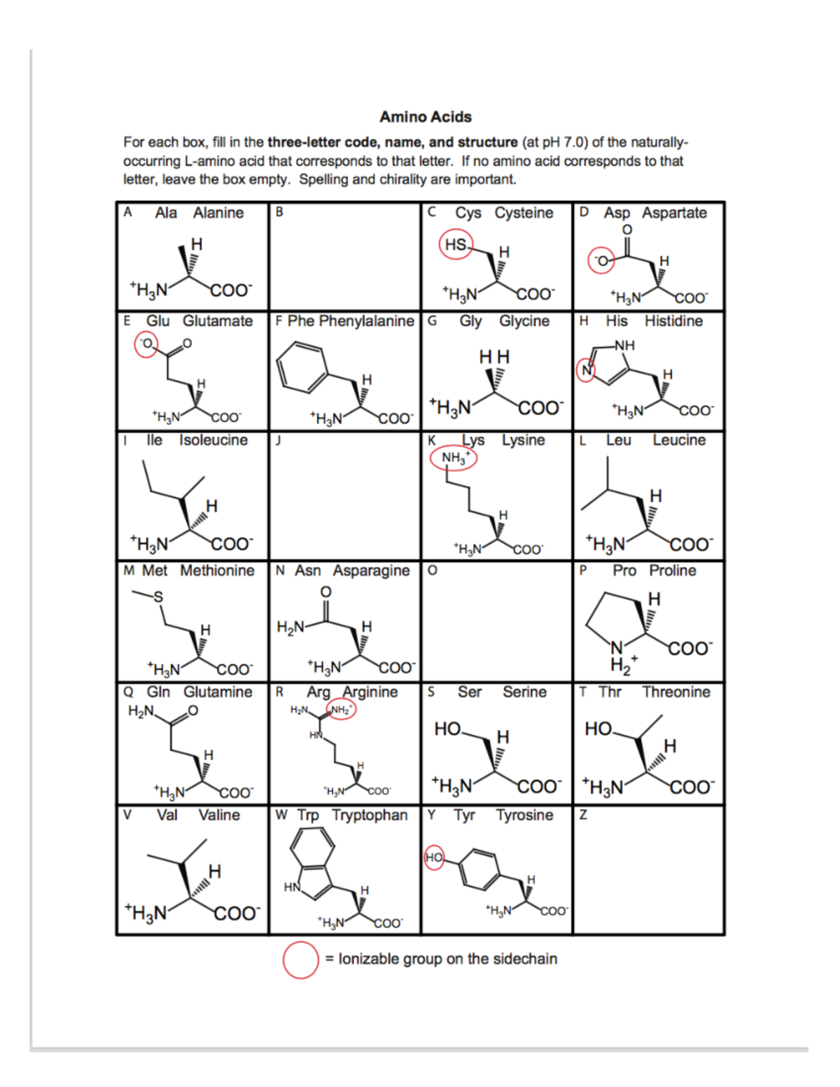 Structure of Alpha Amino Acids - Quiz Key (BIO 101) - Studocu