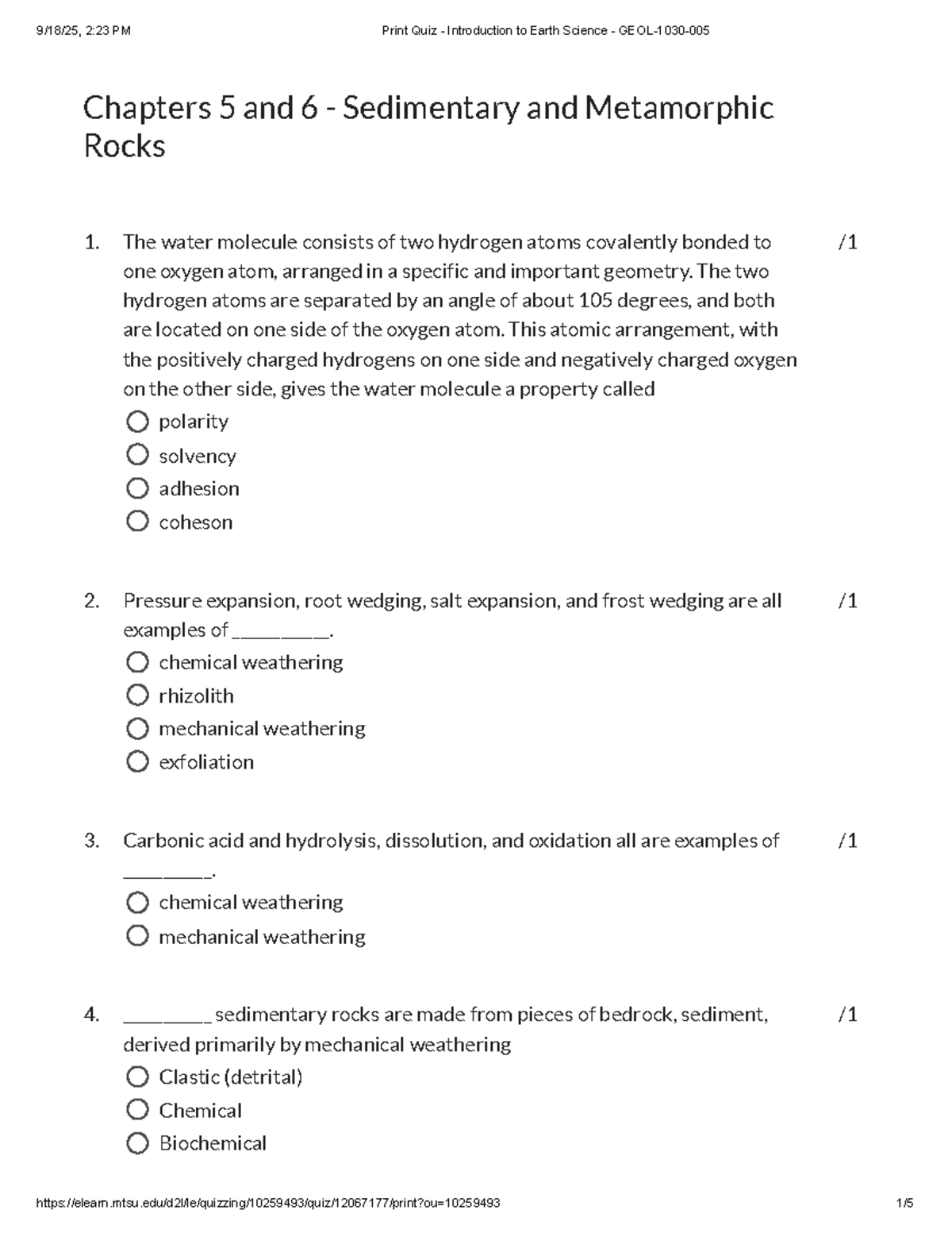 Quiz on Sedimentary and Metamorphic Rocks - GEOL-1030-005 - Studocu
