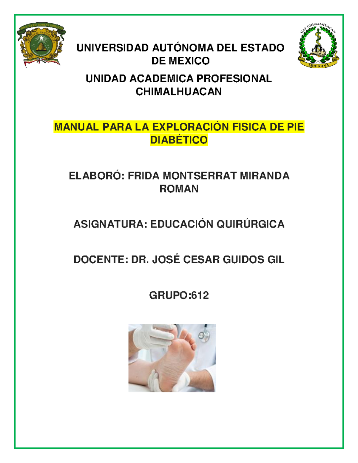 Manual Práctico para la Exploración Física del Pie Diabético - EQ 2023 ...